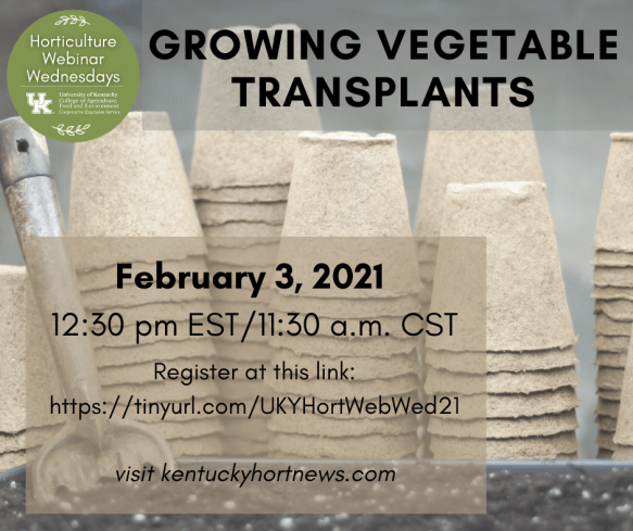Growing Vegetable Transplants | Kentucky Hort News
