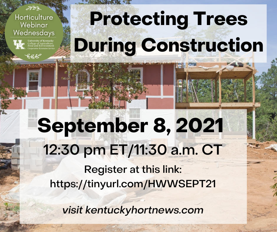 Protecting Trees During Construction | Kentucky Hort News