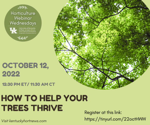 How to Help Your Trees Thrive | Kentucky Hort News