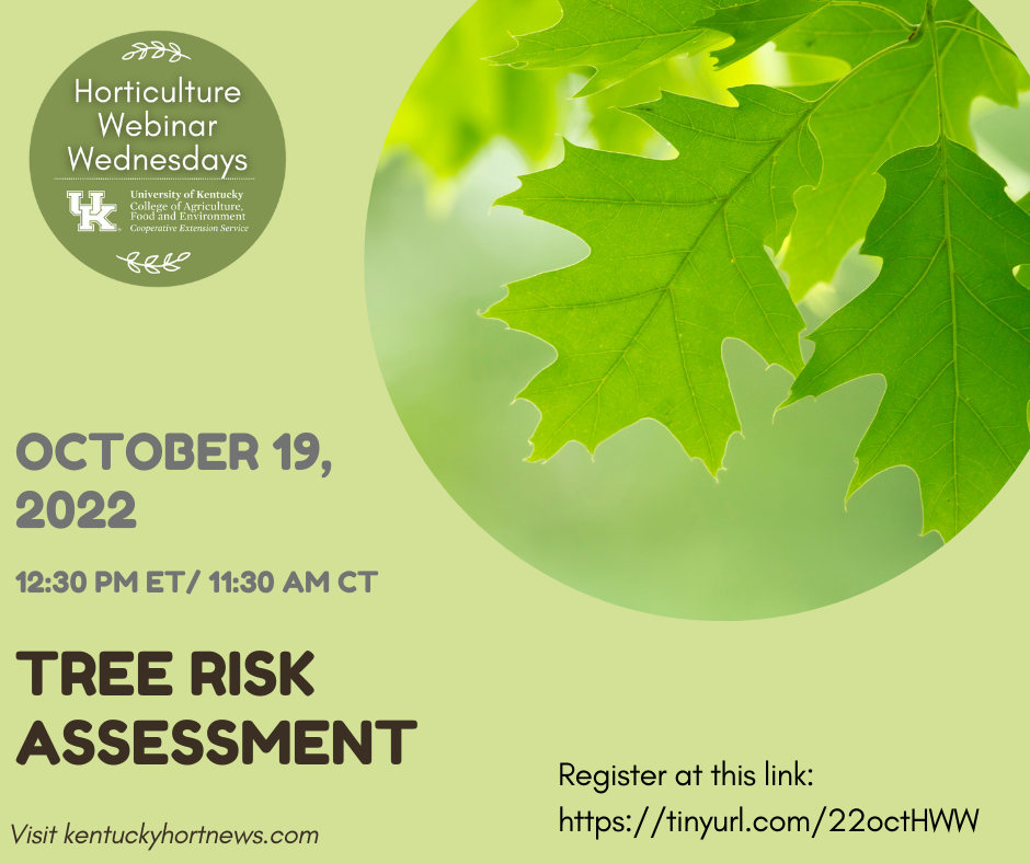 Tree Risk Assessment | Kentucky Hort News