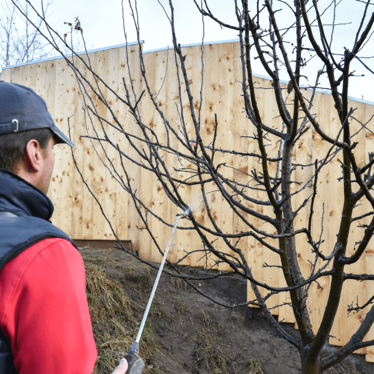 Season Four | Kentucky Hort News