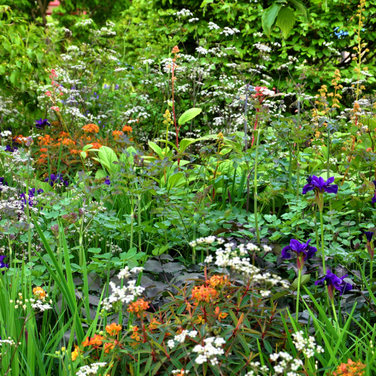 Season Five | Kentucky Hort News